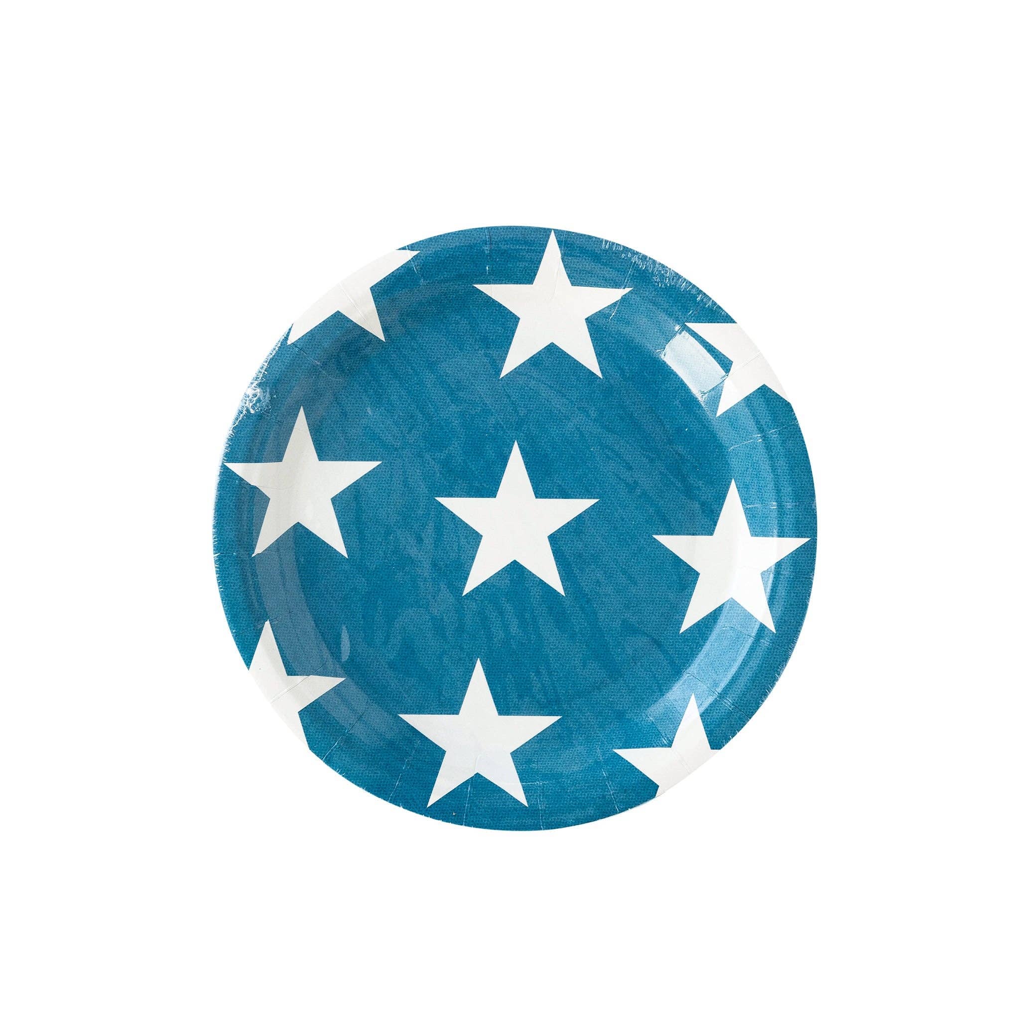 Hamptons Navy Star Paper Plate 9" | Set of 8 – Porcupine Paper Co.